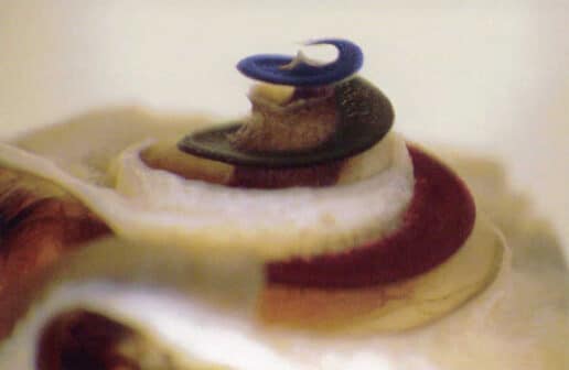 Pictures of the Ear: Deep in the Cochlea | The MED-EL Blog