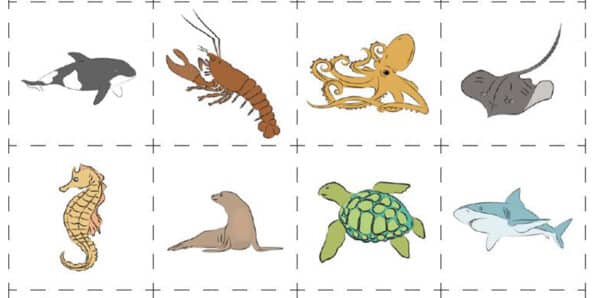 Use This Fun Ocean Activity For Auditory Training - The MED-EL Blog